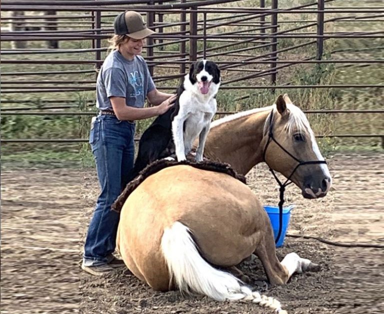 Piper Yule Cowgirl Inc. – Big or Small…We Will Ride & Race Them All